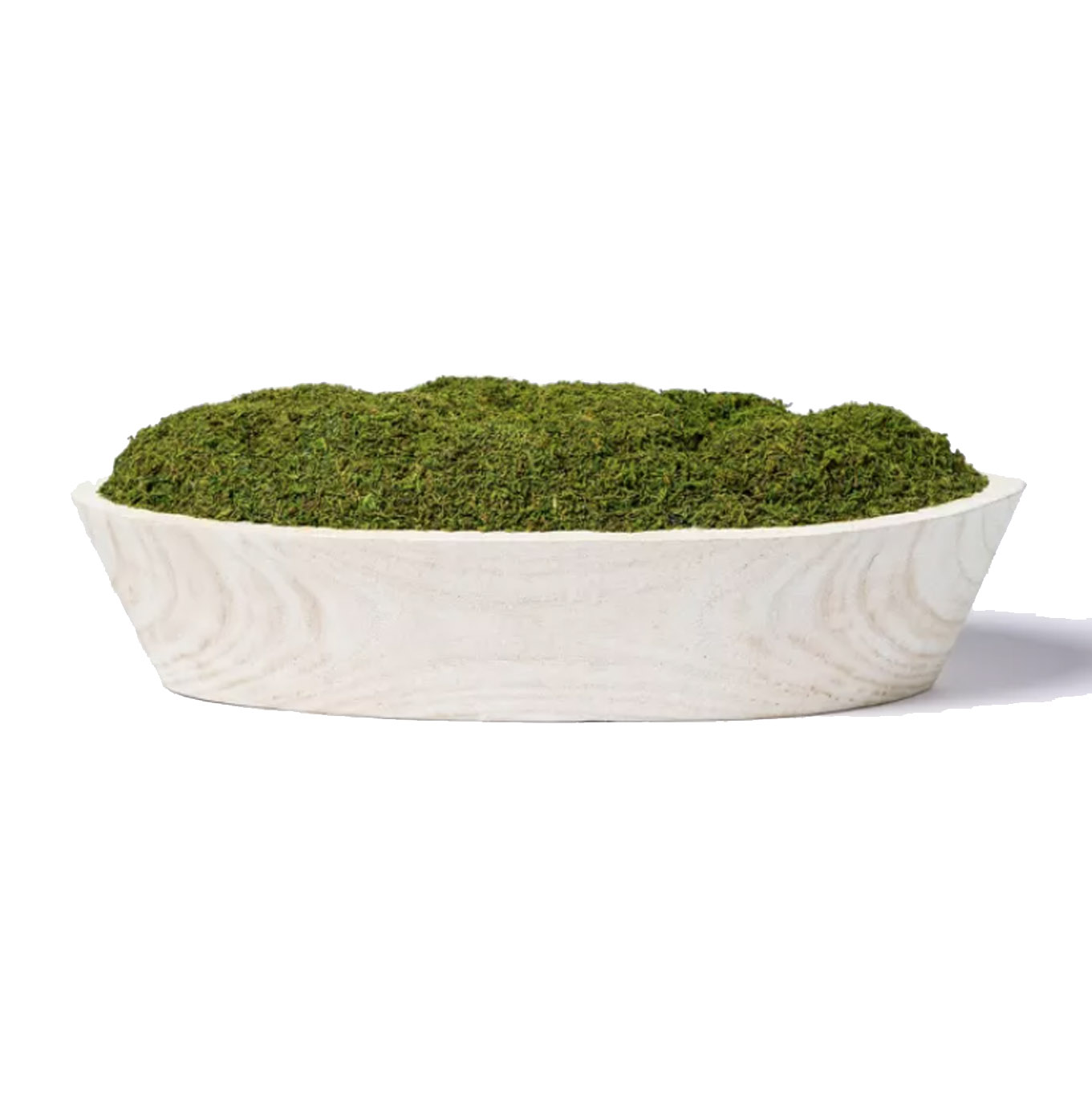 5 x 7 Artificial Moss Wood Plant Arrangement – Threshold™ designed with ...